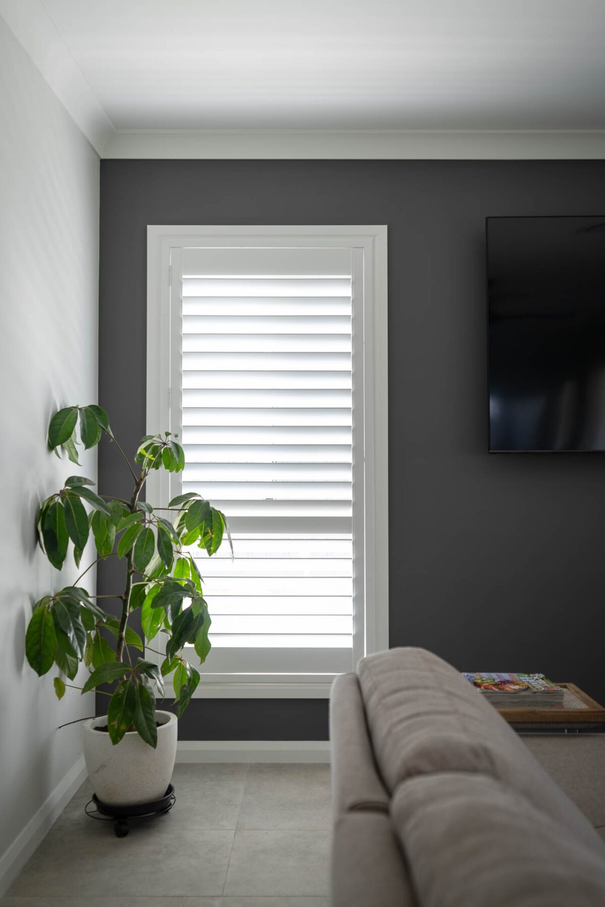 Plantation Shutters Maitland - Chadwick Blinds & Shutters